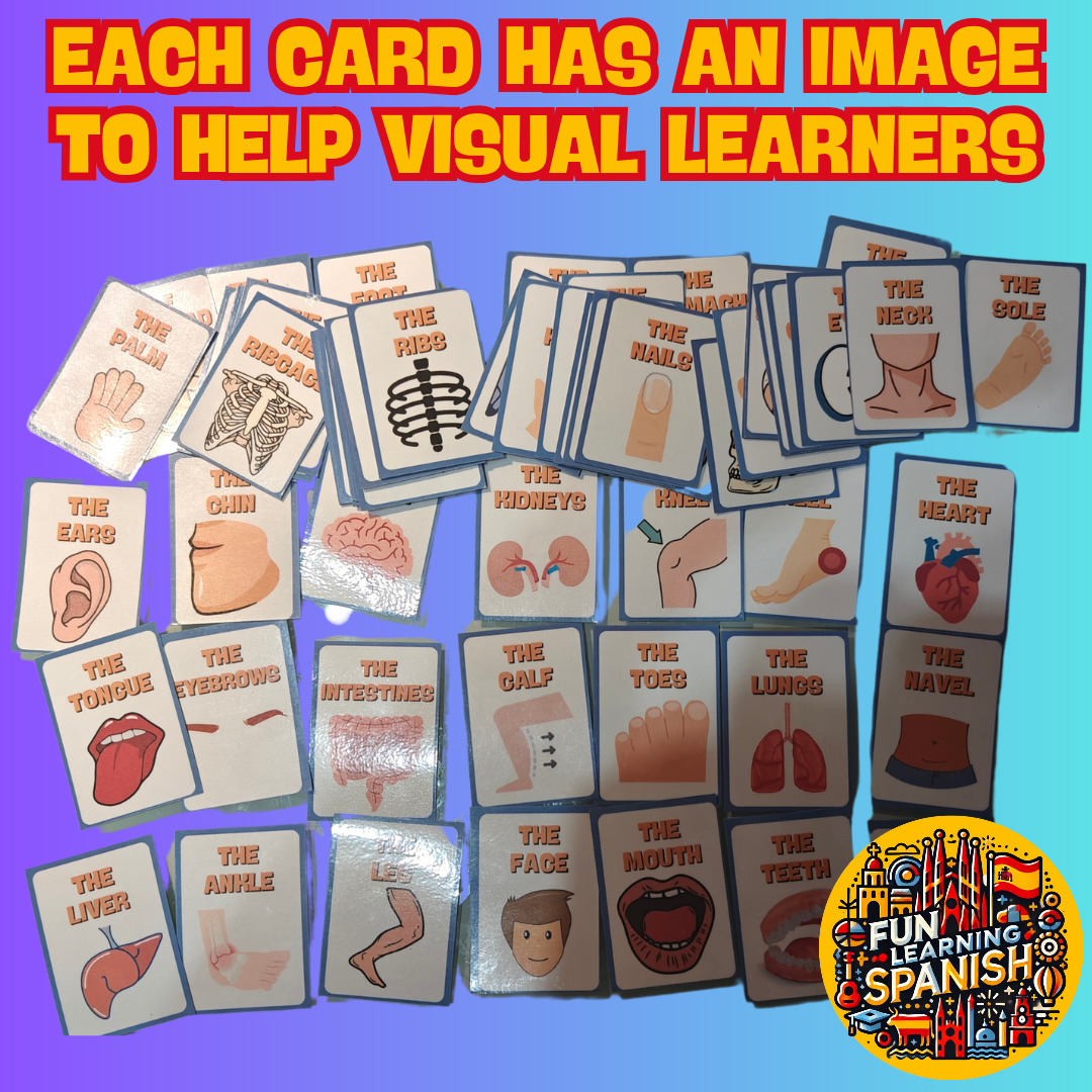 Anatomy + Human Body In Spanish Digital Flashcard Download Pack - 64 ...